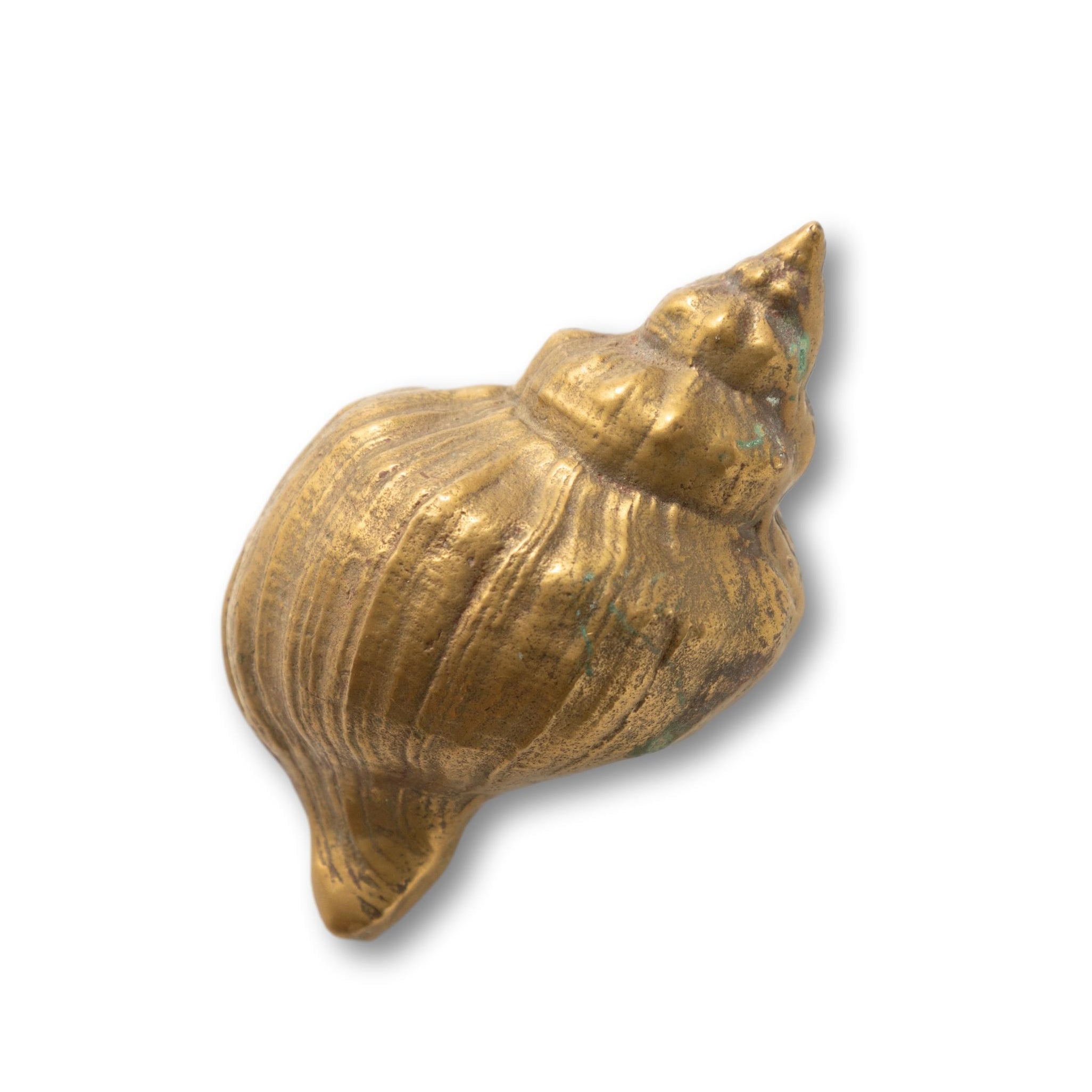 Brass Conch Shell – Seacraft Vintage